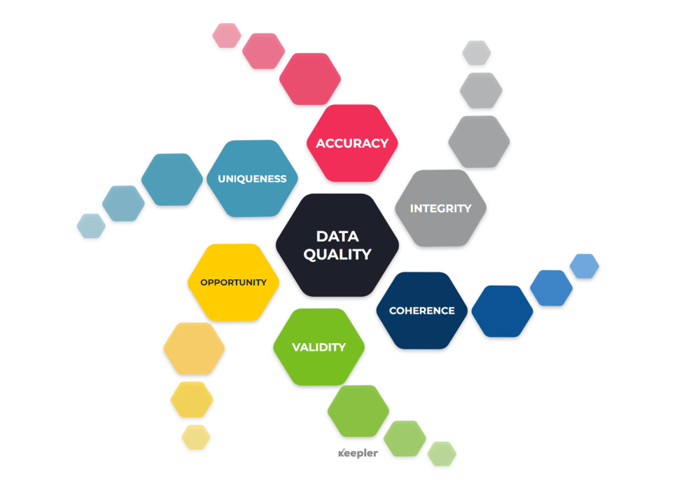 Data Quality, beyond a technical metric